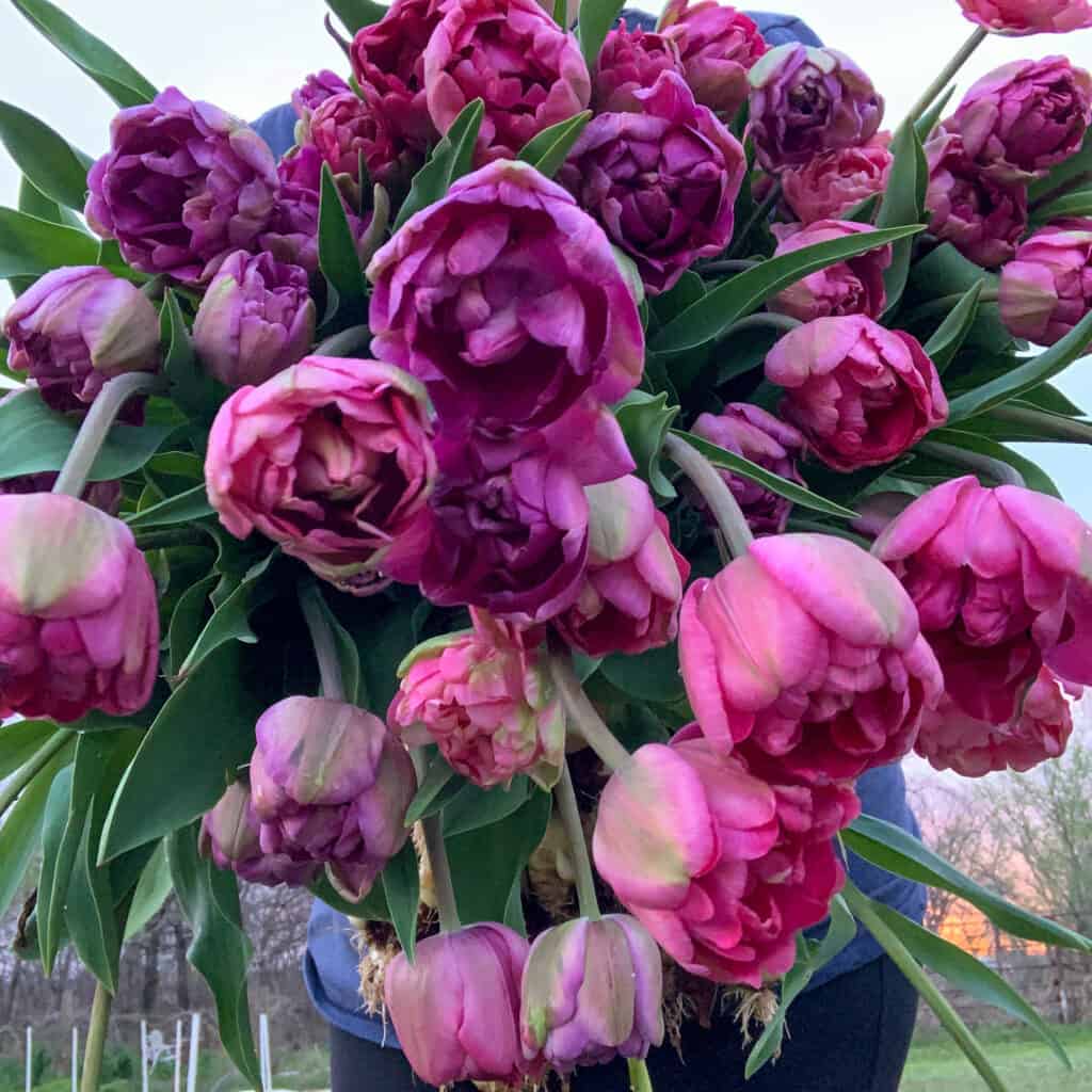 Flower Share Program